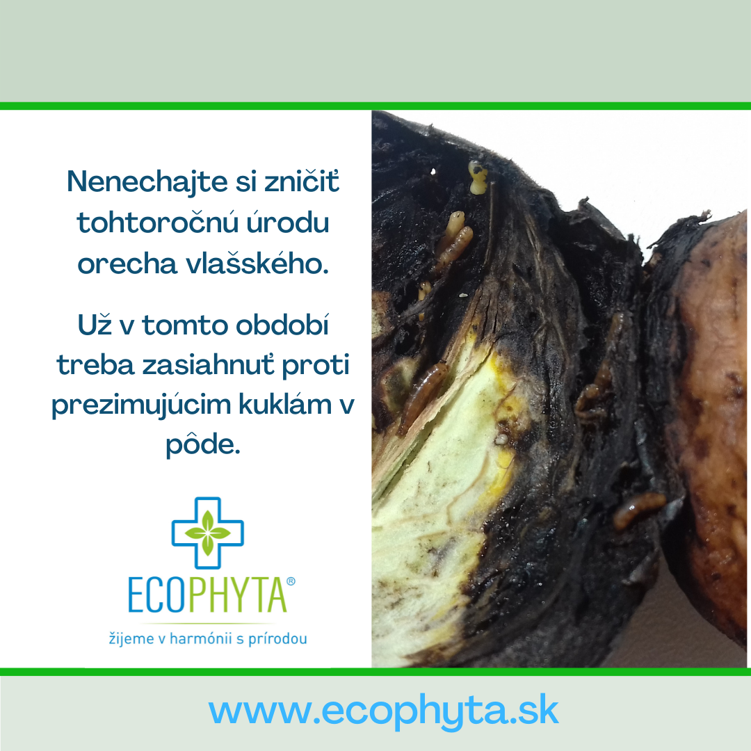 Piadivky - ECOPHYTA s.r.o.