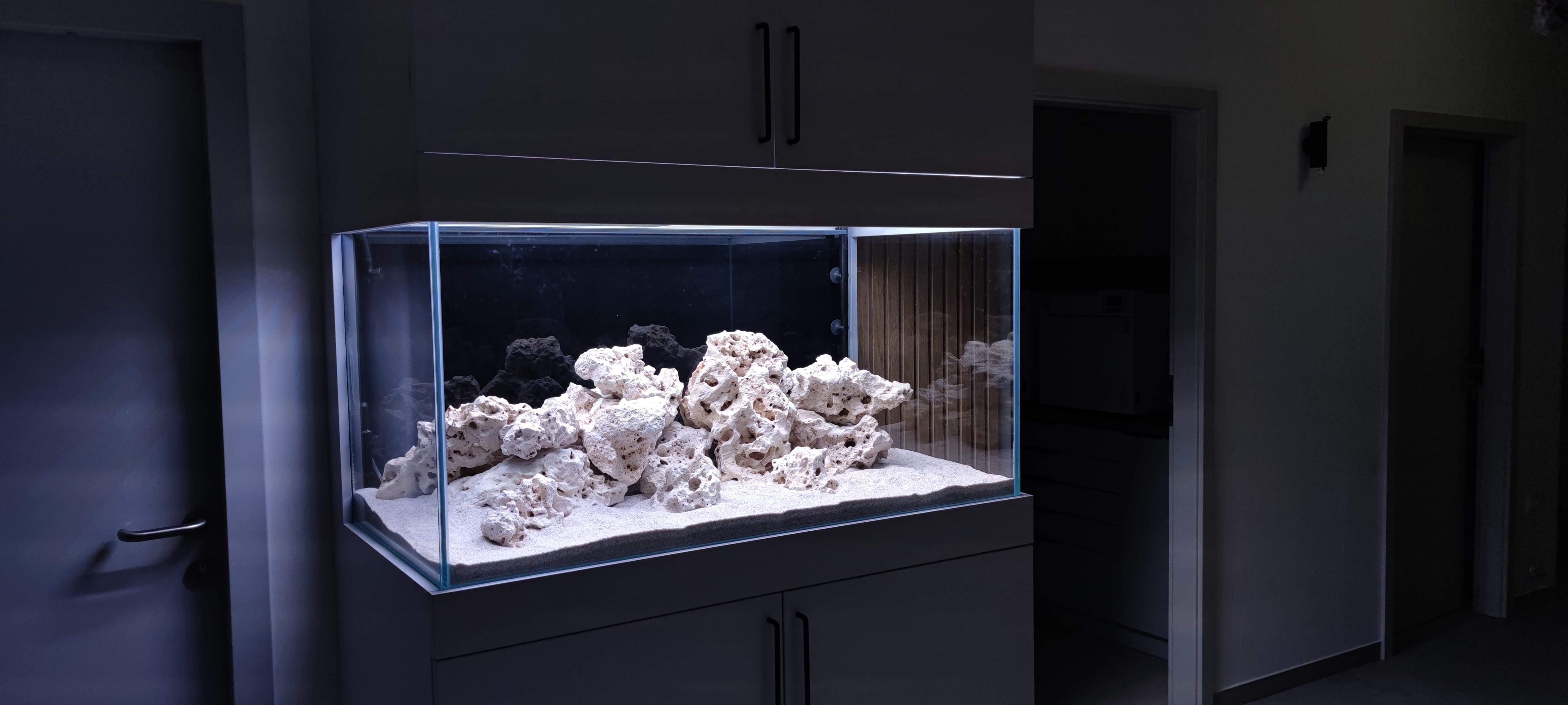 Akváriové rastliny - Akvaland.sk