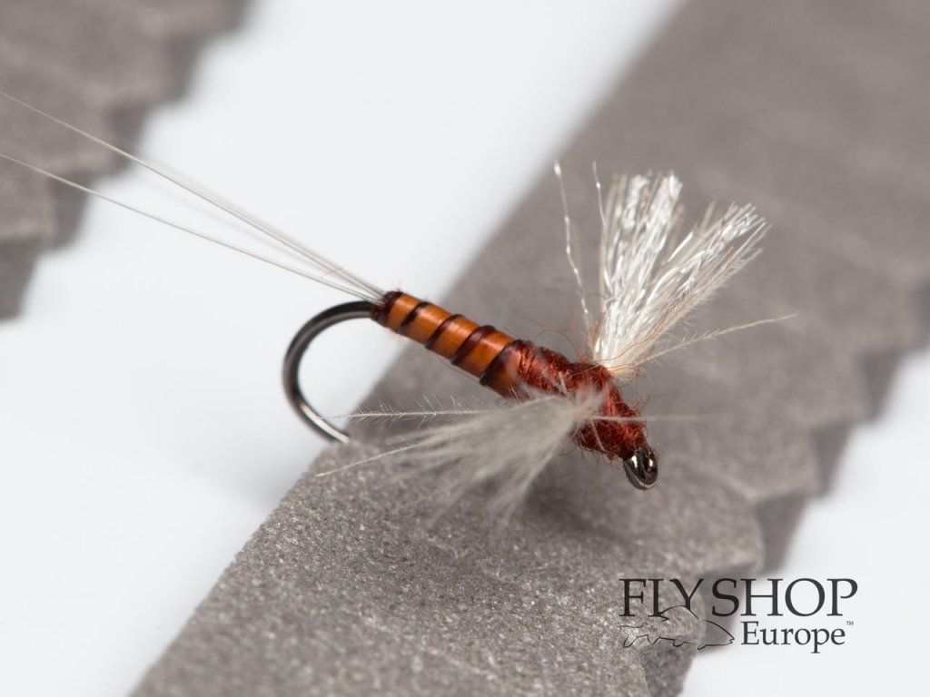 Ginger Spinner Dry Fly | FLY SHOP Europe