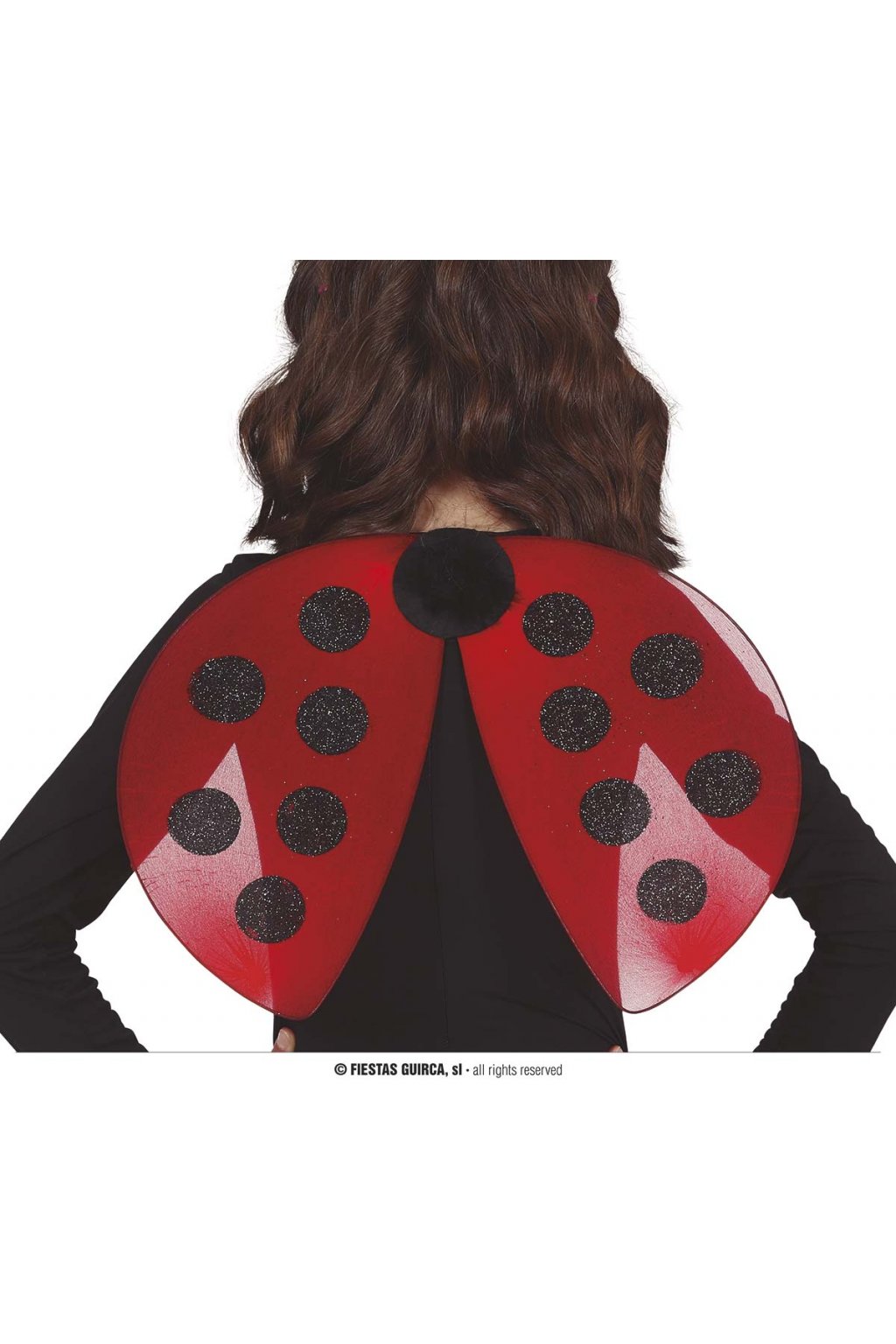 Křídla beruška 40 x 30cm